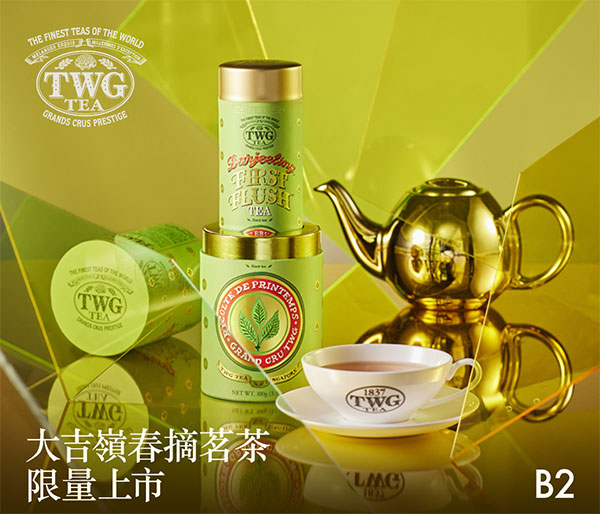 B2 TWG 2024年度嶄新 大吉嶺春摘茗茶 限量上市|最新活動內容|台北忠孝館|遠東SOGO百貨